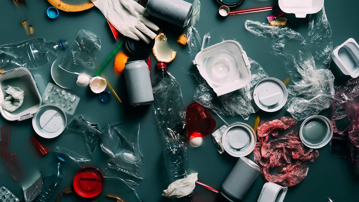 The Plastic Collection Challenge – Eorth Australia