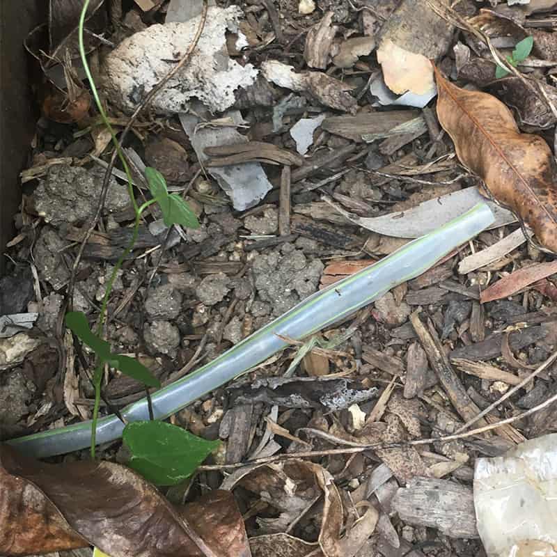 How long do compostable straws take to break down? – Eorth Australia